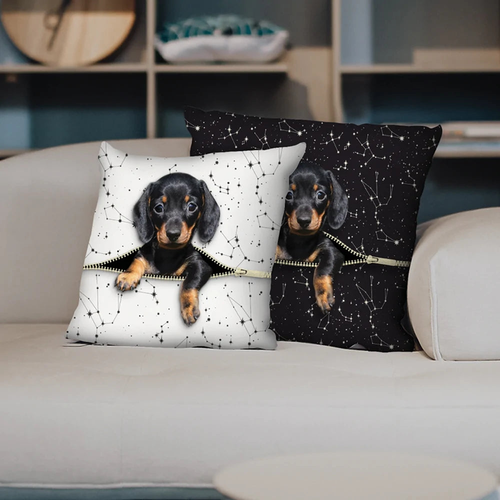 Perfect gifts for pet lovers, stylish and personalized & Pet Supplies ...