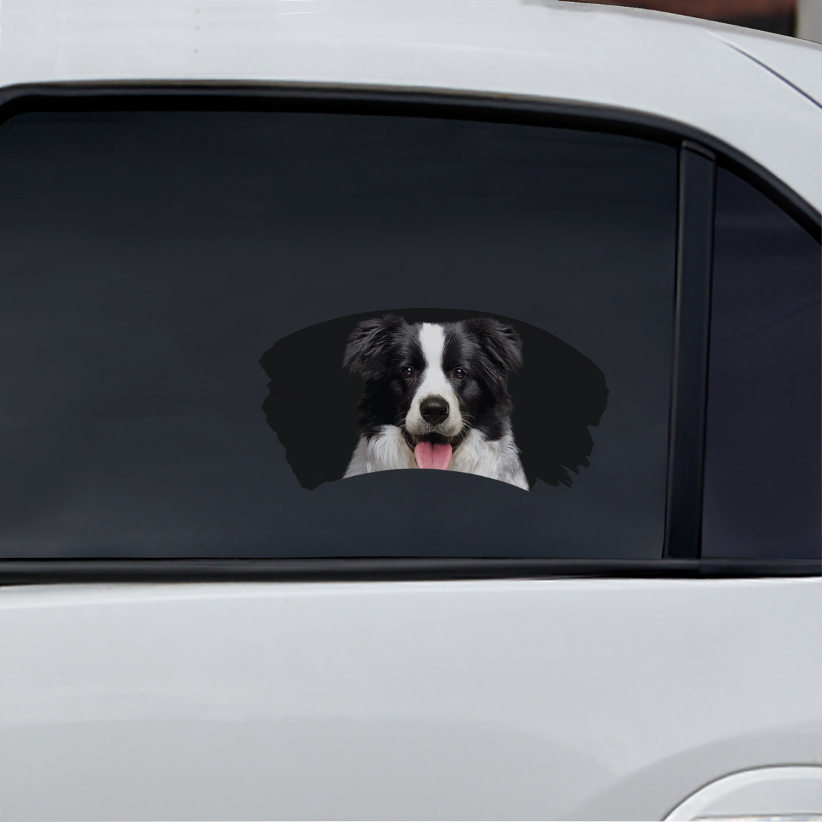 Misty Morning - Border Collie Window Car Decal V1 – follus.com