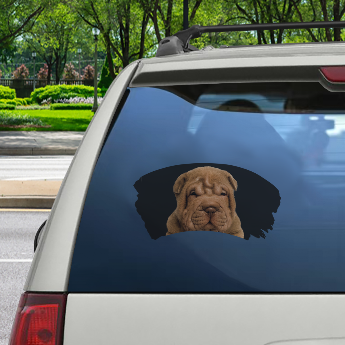 Misty Morning - Shar Pei Window Car Decal V1 – Follus