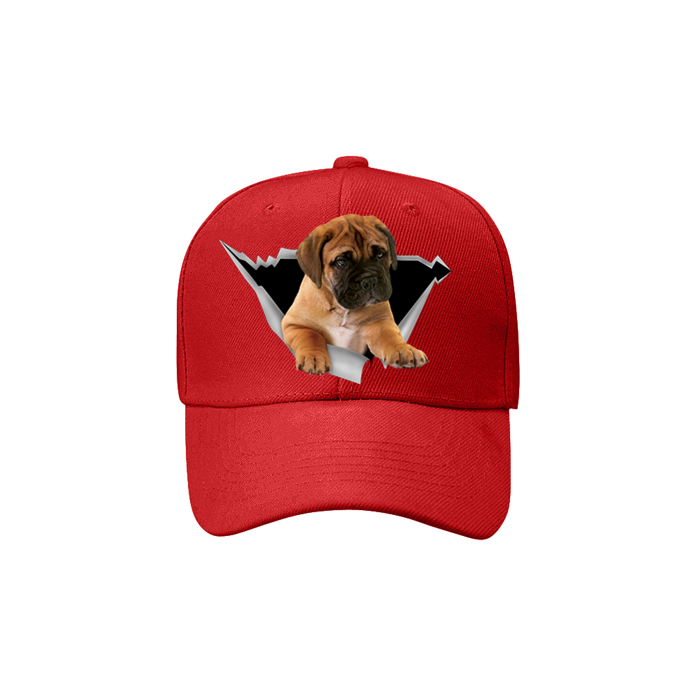 Bullmastiff Fan Club - Hat V2 – Follus