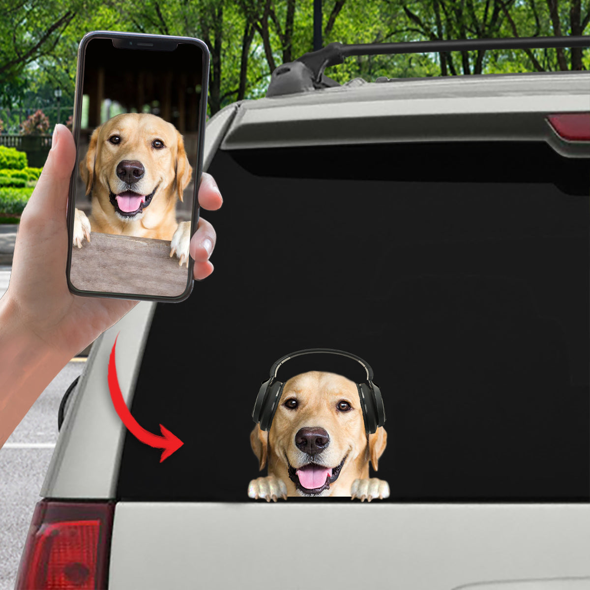 Can You See Me Now - Personalized Sticker With Your Pet's Photo V2 – Follus