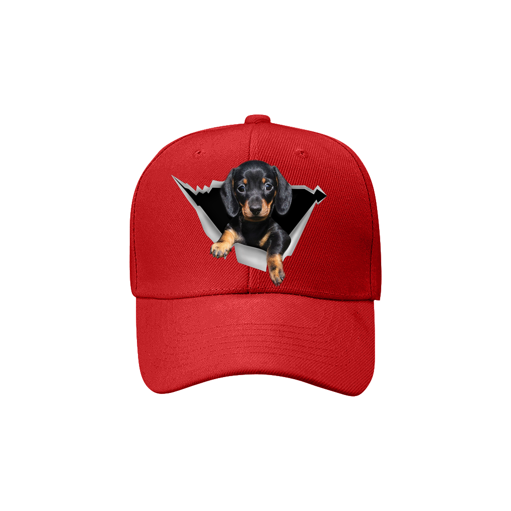 Dachshund Fan Club - Hat V2 – Follus