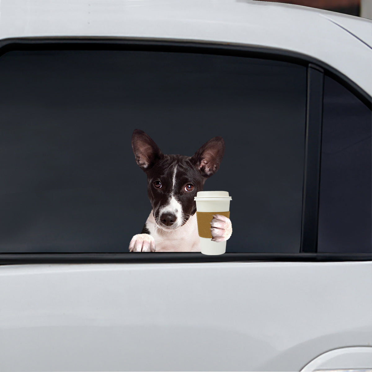 My Self-Pawtrait Dogo Argentino Pitbull Mix Dogo Argentino X Pitbull ...