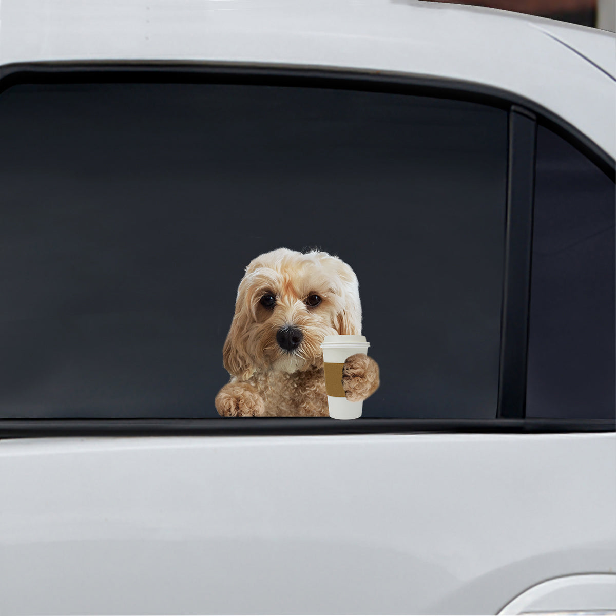 Good Morning - Cavapoo Car/ Door/ Fridge/ Laptop Sticker V1 – Follus