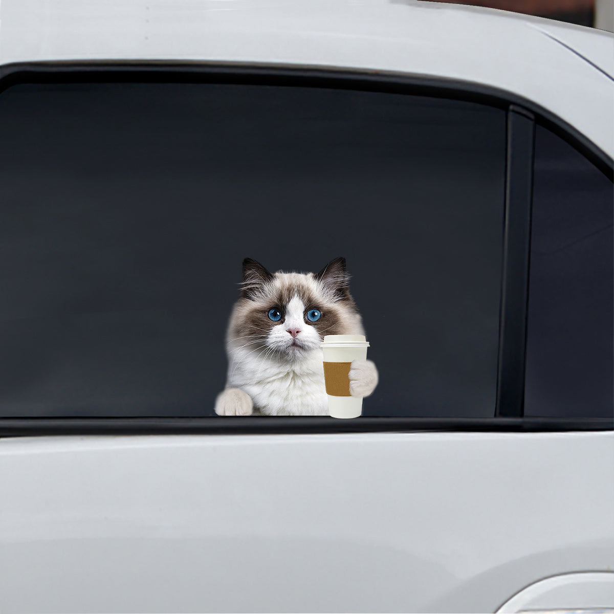 Good Morning - Ragdoll Cat Car/ Door/ Fridge/ Laptop Sticker V1 – Follus