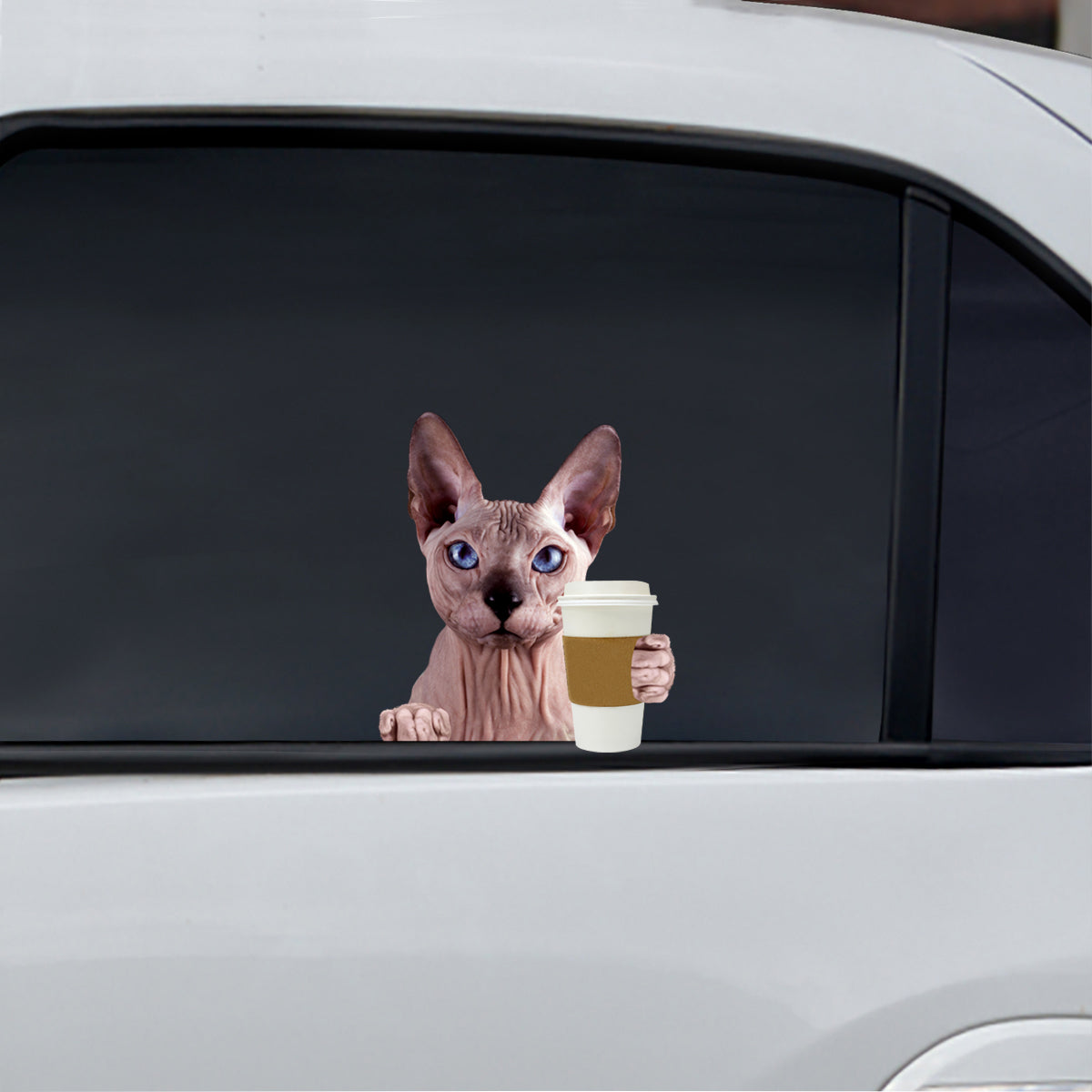 Good Morning - Sphynx Cat Car/ Door/ Fridge/ Laptop Sticker V1 – Follus