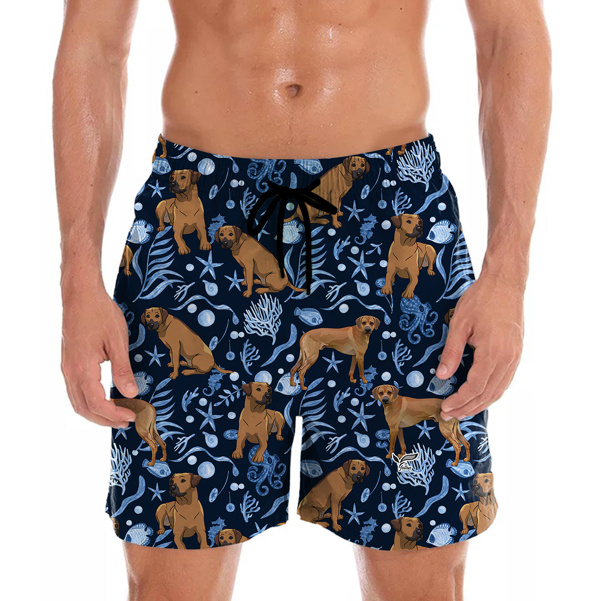 Rhodesian Ridgeback – Page 3 – Follus