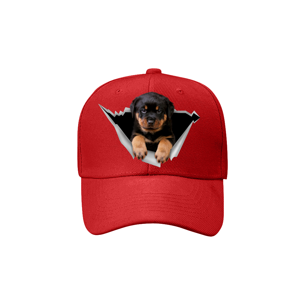 Rottweiler Fan Club - Hat V4 – Follus
